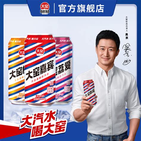 吴京代言大窑汽水嘉宾果味饮料500ml 8罐 2箱 虎窝淘