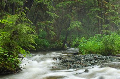 18 Of The Biggest National Park And Forest Cameos In The Movies The