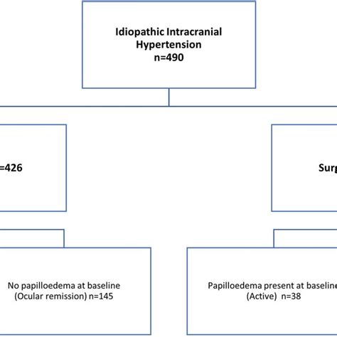 Disc Swelling Grading At Mary Sprent Blog
