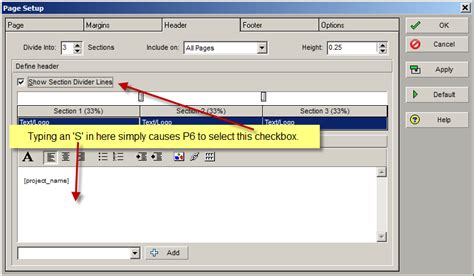 Primavera P Print Preview Bugs