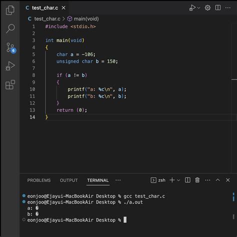Unsigned Char와 Char의 차이