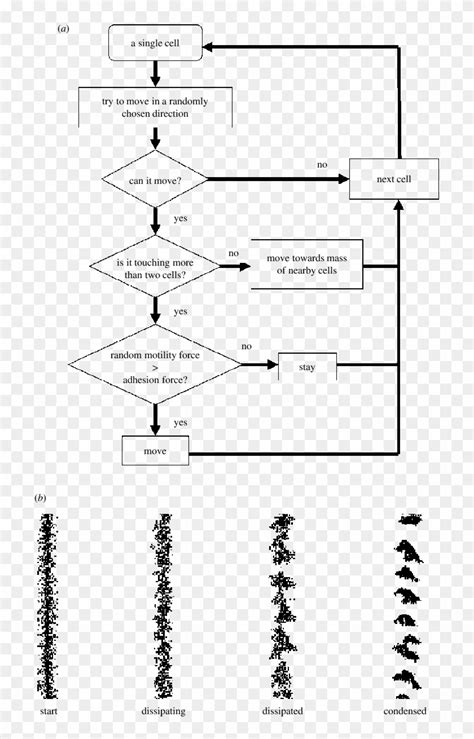 General Outline Of Computer Simulation Algorithm And Algorithm For