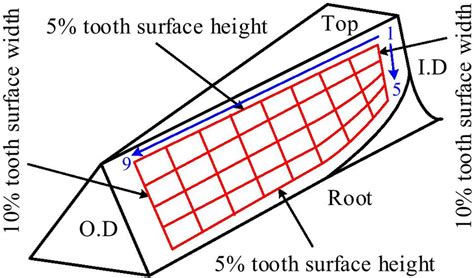 Meshing Planning Of Face Gear Tooth Flank Download Scientific Diagram