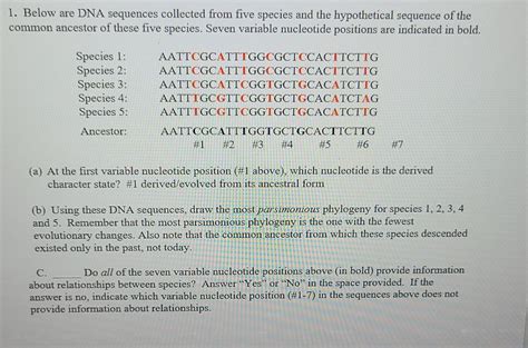 Below Are DNA Sequences Collected From Five Chegg Com