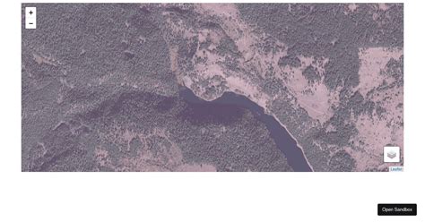 Create Simple Map Codesandbox