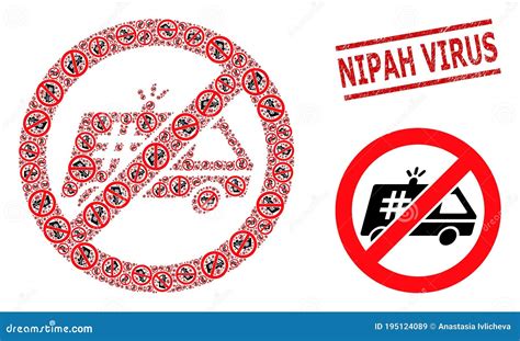 Nipah Virus Attaching Receptors On Human Cells A Newly Emerging Bat