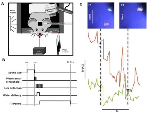 Pixy Computer Vision For Tracking Mouse Behavior Labrigger