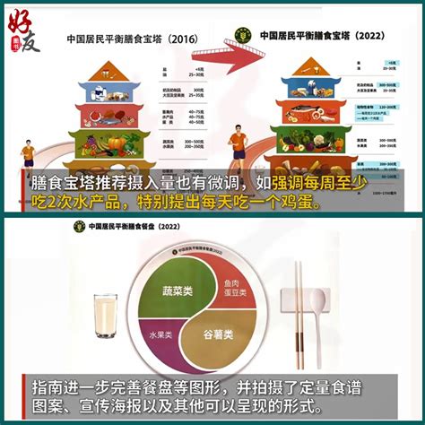 新版中国居民膳食指南2022科普版2册中国营养学会妇幼营养分会孕妇婴幼儿童老年素食人群医学书籍公共注册营养师考试教材人卫版 虎窝淘