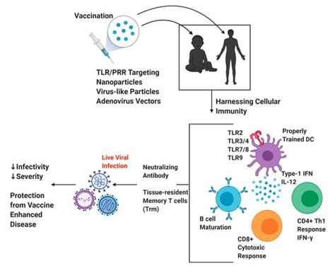 Vaccines Special Issue Virus Like Particle And Nanoparticle Vaccines Against Viral Infections