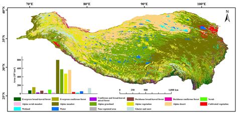 Essd Annual Vegetation Maps In The Qinghaitibet Plateau Qtp From
