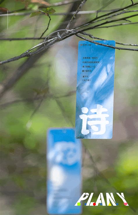 人间四月，诗意绽放 春天读诗会，喊你报名啦！诗歌长沙楚天