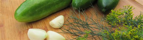 Vegetable Gardening Guides And Advice