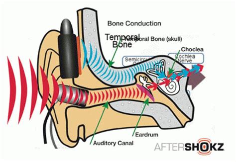 What Is Bone Conduction Bone Conduction