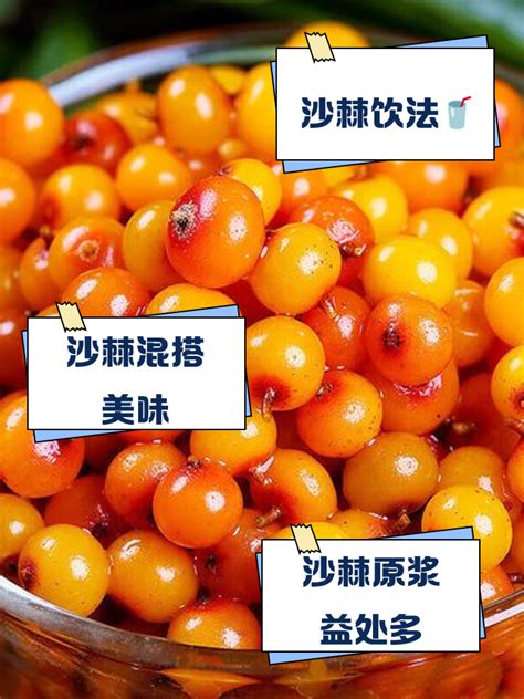 沙棘果浆的正确喝法和功效