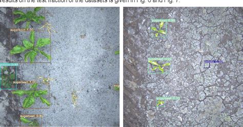 Figure 1 From A Robust Plant Localization And Identification System For Precision Farming The