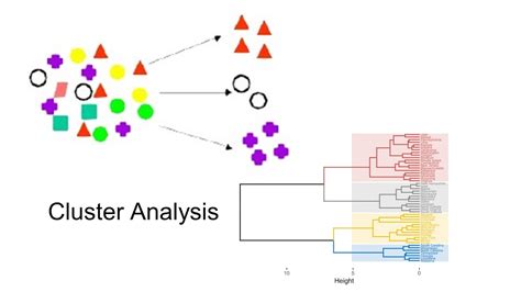 81 Cluster Analysis Youtube