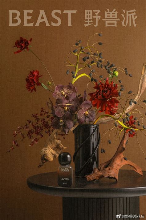 野兽派花店 的个人主页 微博