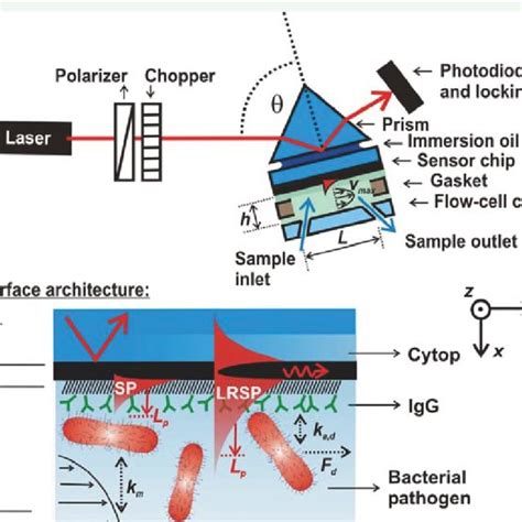 Pdf Recent Developments In Biosensor Technologies For Pathogen