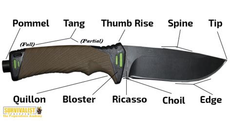 How To Choose The Best Survival Knife For Your Needs