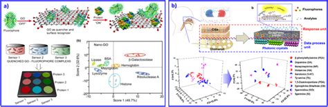 2d Nanomaterial Based Sensor Arrays A Go As Receptors For