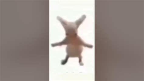 Shimmy Shimmy Ya Shimmy Ya Youtube