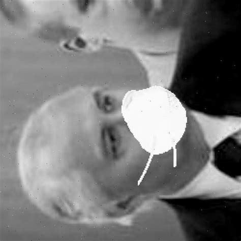 Final Work Object Detection Dataset By Mostafa Ahmed