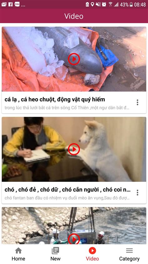 News App Android Source Code By Suusoft Codester