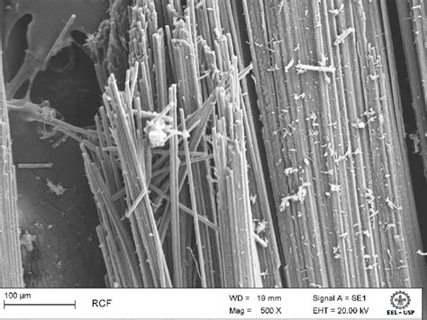 Sem Photomicrograph Of Recycled Carbon Fiber Download Scientific Diagram