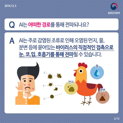 Ai조류인플루엔자 Qanda V2 카드뉴스 홍보자료 알림·자료 질병관리청
