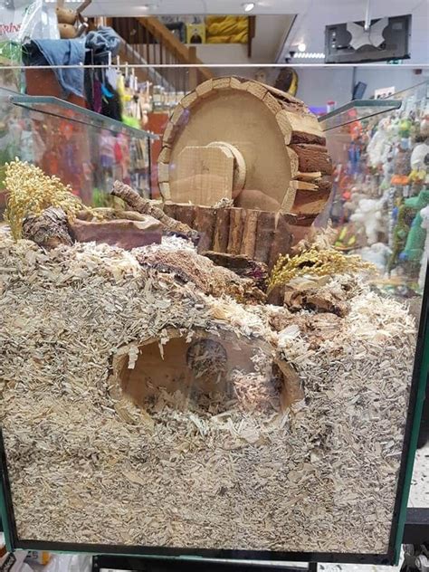 Eps Rock Formations Geofoam Styrofoam Eps Polystyrene Universal Foam Products Artofit