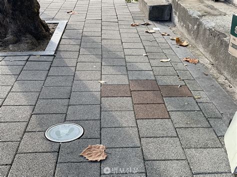 서울시 보도블록까지 ‘붉은색 십자가로 바꿨다 뉴 스 종교차별 신고센터