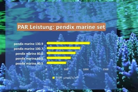 Daytime Led Pendix806 Marine Olibetta