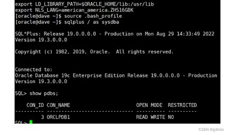 linux虚拟机安装oracle数据库 linux安装oracle数据库 csdn博客