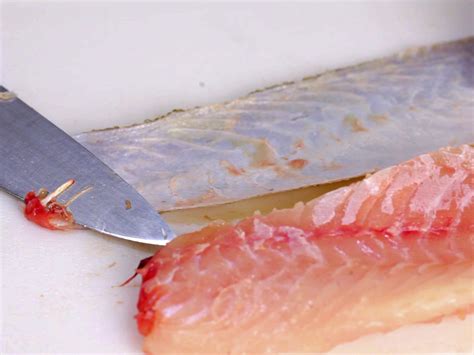 3 Ways To Fillet A Fish WikiHow