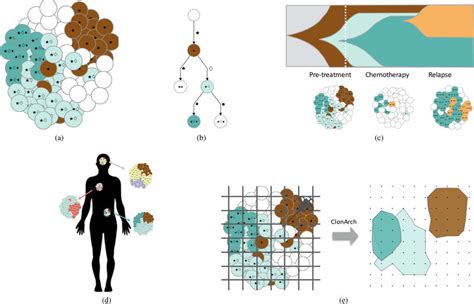 Overview Of Current And Proposed Tools For Visualizing The Clonal Download Scientific Diagram