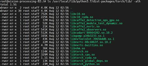 pytorch 1 8 1 cu111 package size and memory usage issue vision pytorch forums