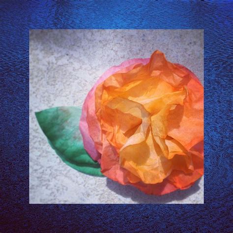 Meredith Harvath On Instagram ““a Flower Blossoms For Its Own Joy