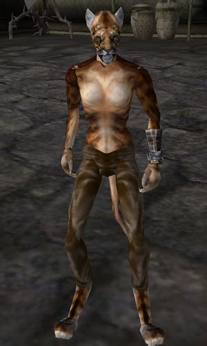 Ahnisa Elder Scrolls Fandom