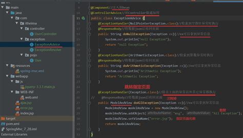 异常处理 注解开发异常处理器 02 除暖的专栏 Tnblog