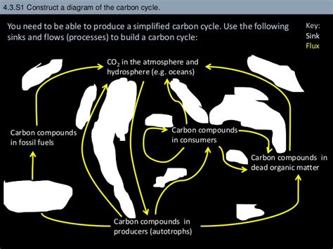 Carbon Cycle Diagram Ib