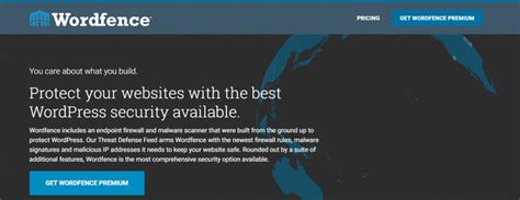 10 Best Wordpress Security Plugins 2025 Buddyx Theme