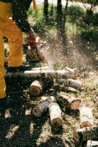 Types Of Tree Felling Cuts Tree To Timber