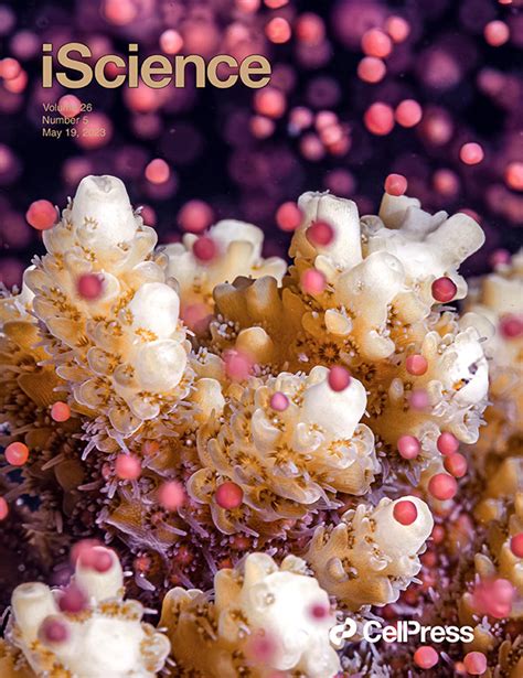 Cell Press Iscience