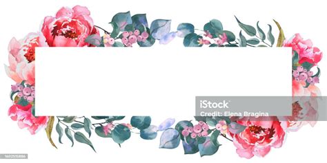 수채화 수평 프레임 템플릿 분홍색과 흰색 모란 유칼립투스 가지 손으로 그린 식물 그림은 흰색 배경에 분리되어 있다 초대장의 경우 날짜 결혼식을 저장하십시오 국경에 대한 스톡