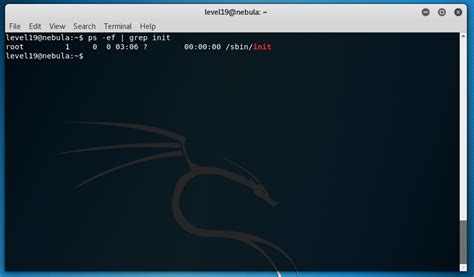 nebula exploit exercise solutions