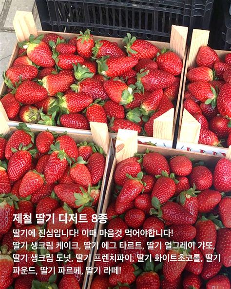 투하츠 베이커리 카페 제철 딸기에 진심입니다🍓🍰 ️ 그래서 딸기를 듬뿍듬뿍 넣은 메뉴들로 구성해보았습니다👍 딸기 얼그레이 갸토 딸기 프렌치파이 딸기 화이트초코롤