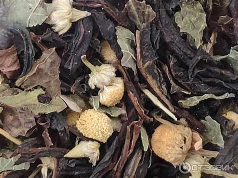 Отзыв о Иван чай Сладень для себя любимой Полезный и вкусный Иван чай для женщин и не только