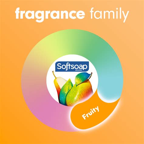 Softsoap Hand Wash Liquid Hand Soap Juicy Peach 75 Oz Pump