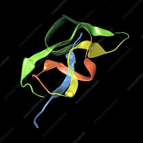 Muc5b Molecule Stock Image C015 4507 Science Photo Library