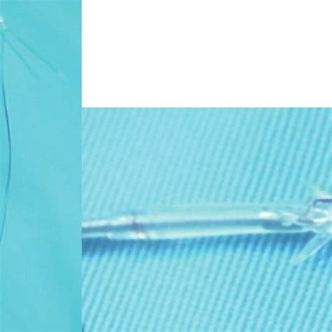 Pacemaker Lead After Extracted Download Scientific Diagram